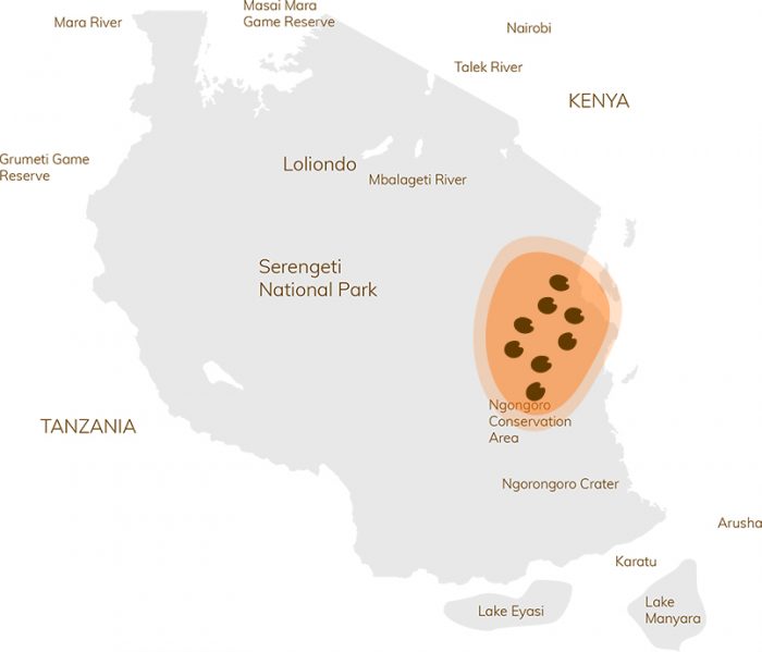 The Great Wildebeest Migration Map | While in Africa